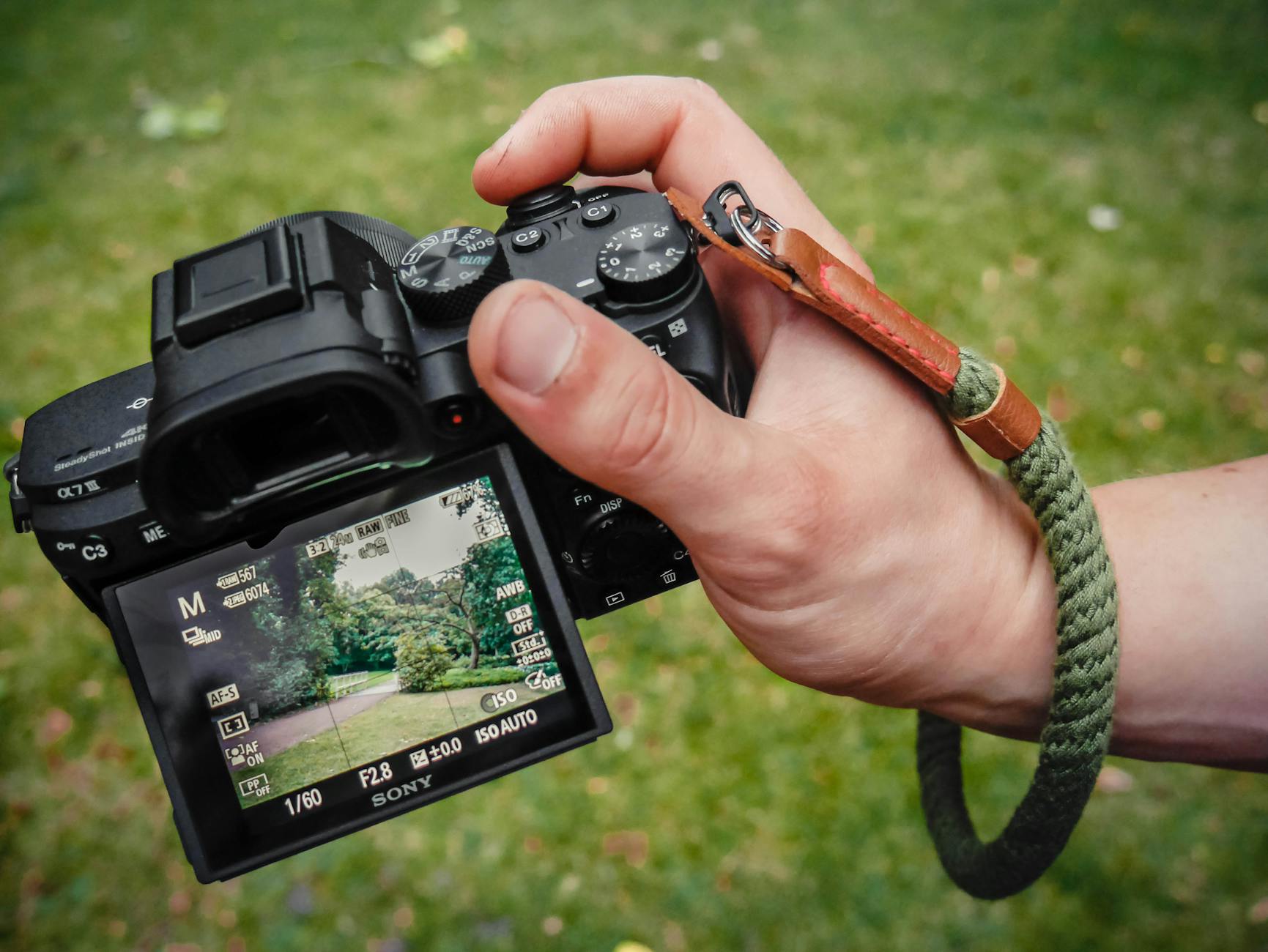 Types of Cameras – Learning Digital Photography